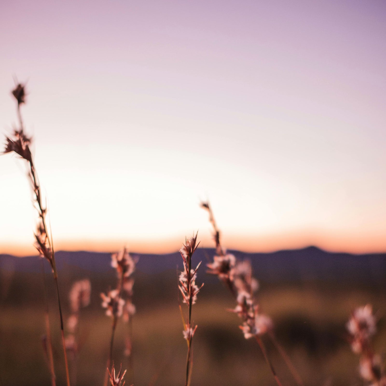 Magical Mystery Skeins – La Bien Aimee