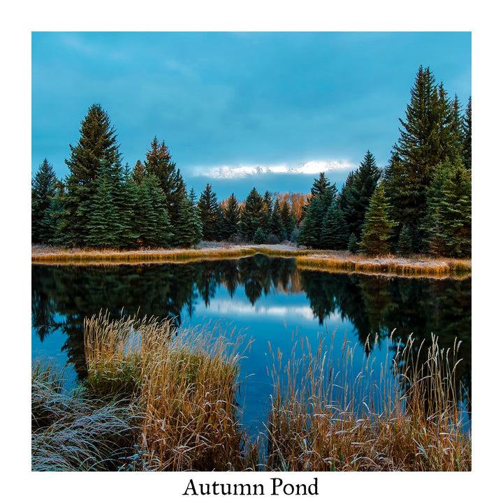 Petits Prix – La Bien Aimee