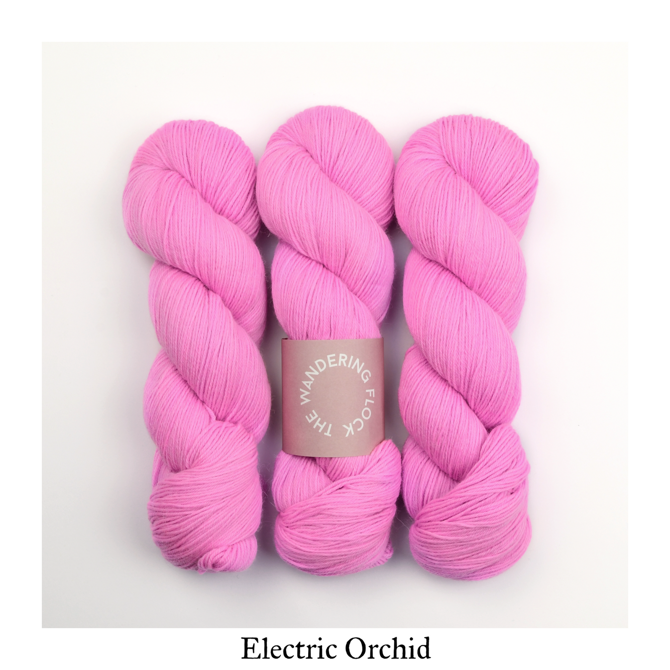 Baby Paca – La Bien Aimee