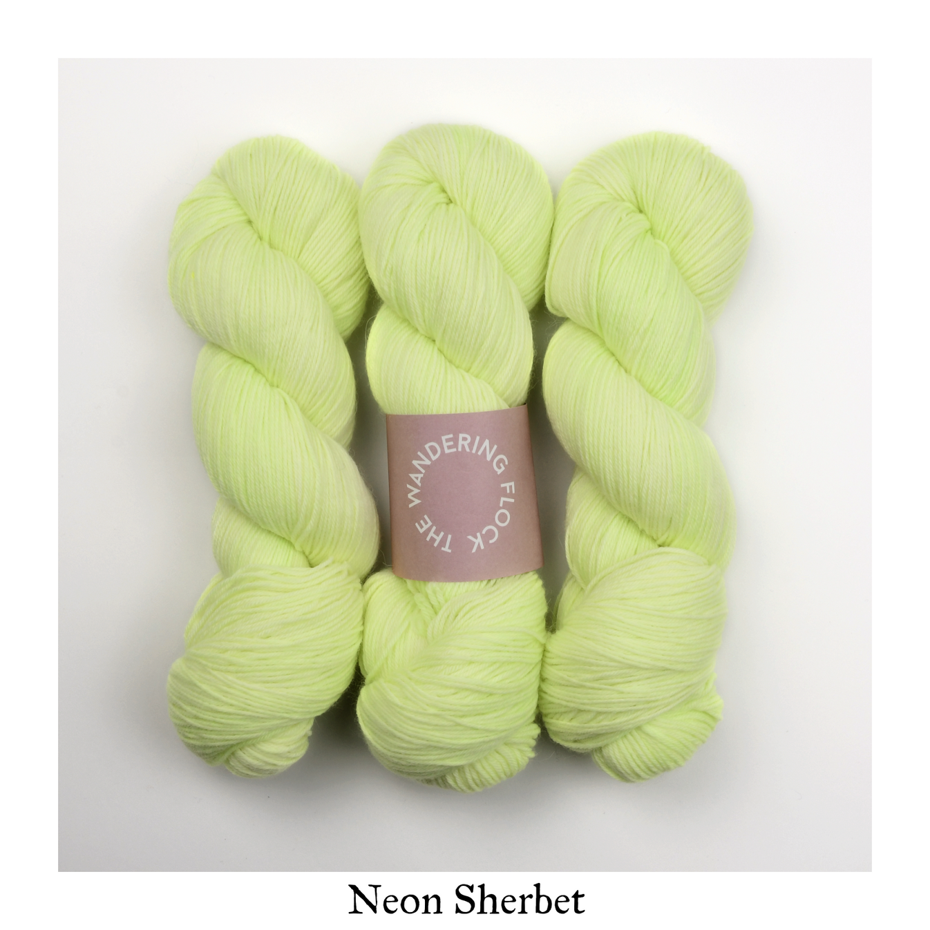 Baby Paca – La Bien Aimee